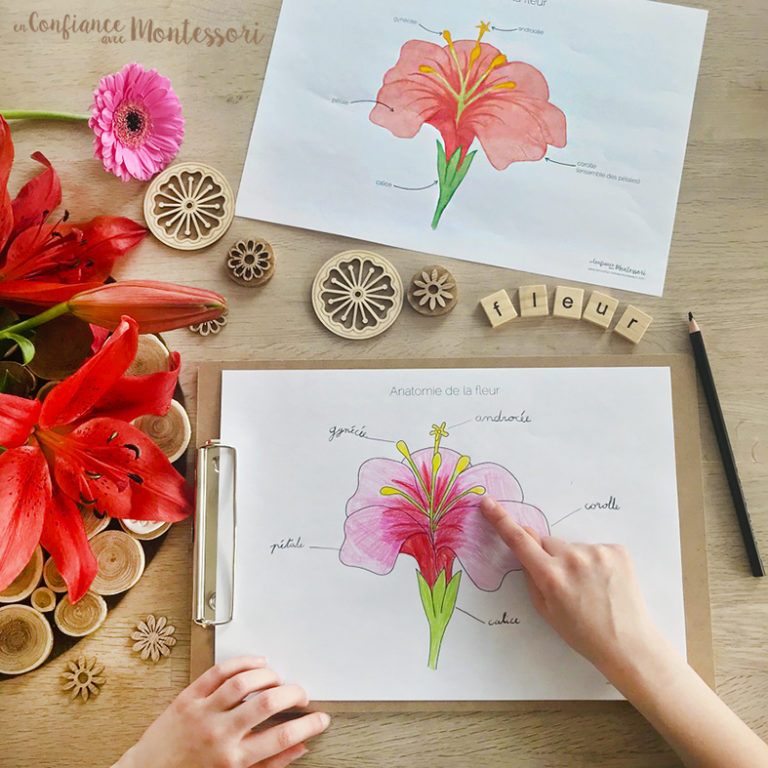 Pack complet d'inspiration Montessori sur le thème de la fleur