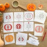 Images classifiées Montessori sur l'anatomie de la citrouille