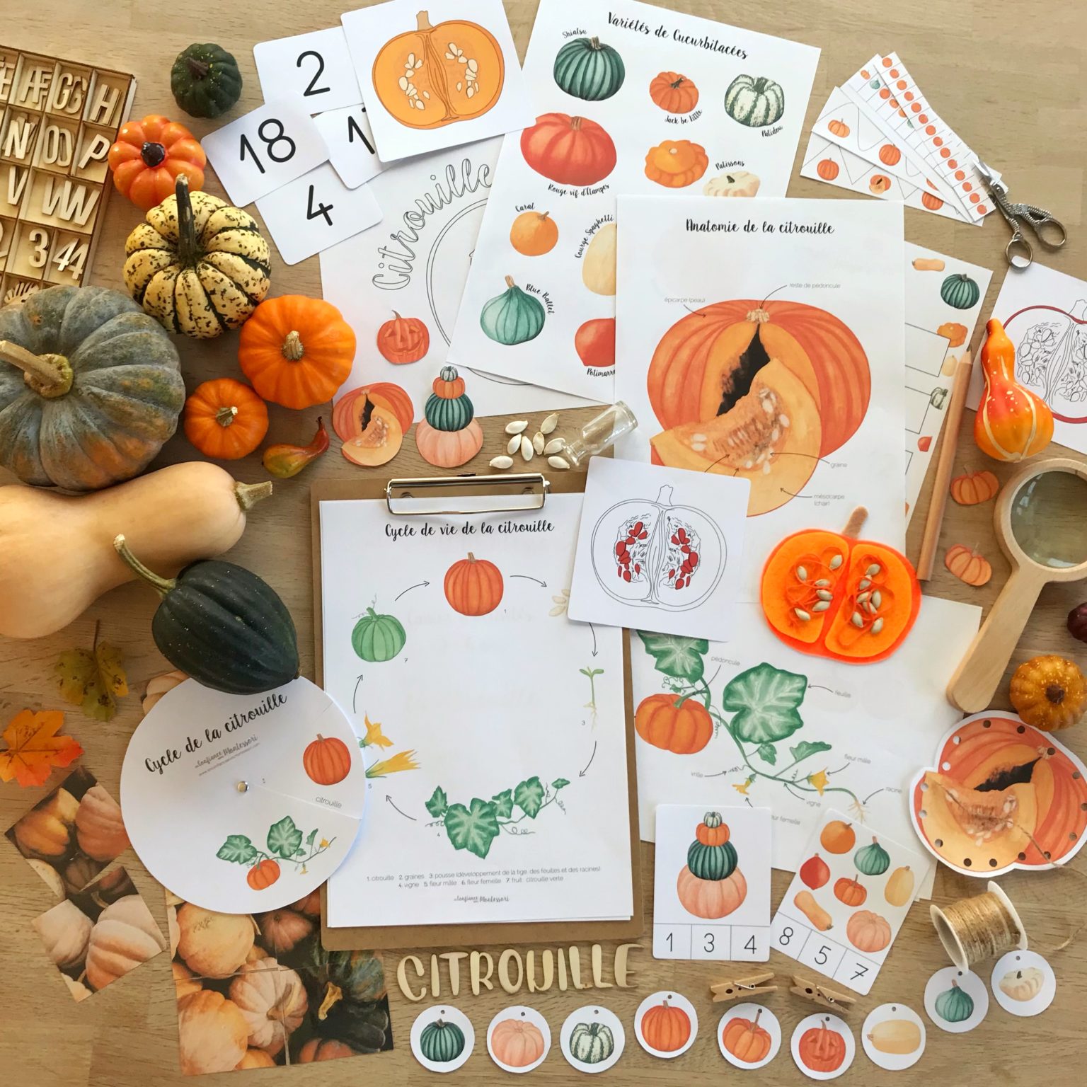 Pack complet d'inspiration Montessori sur le thème de la citrouille
