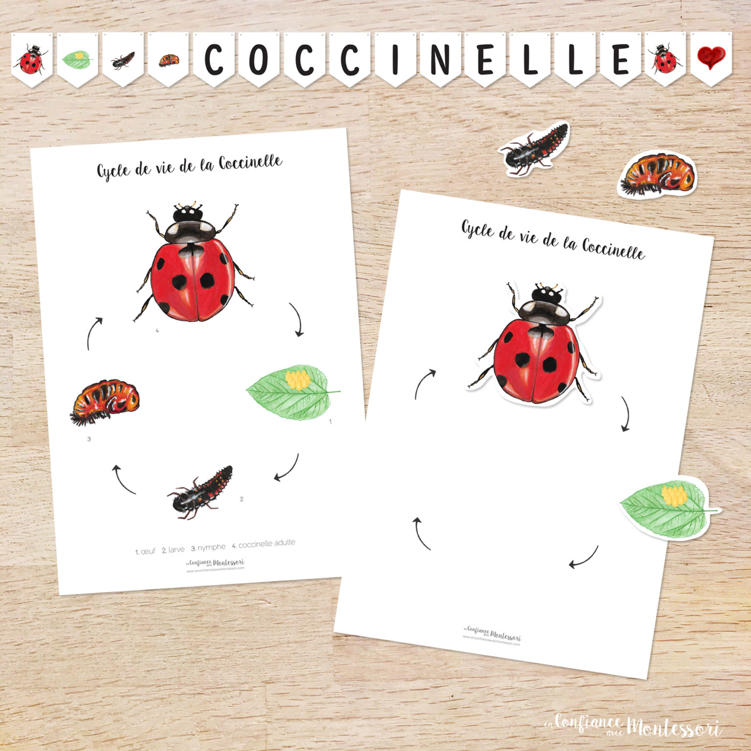 Pack complet d'inspiration Montessori sur le thème de la Coccinelle