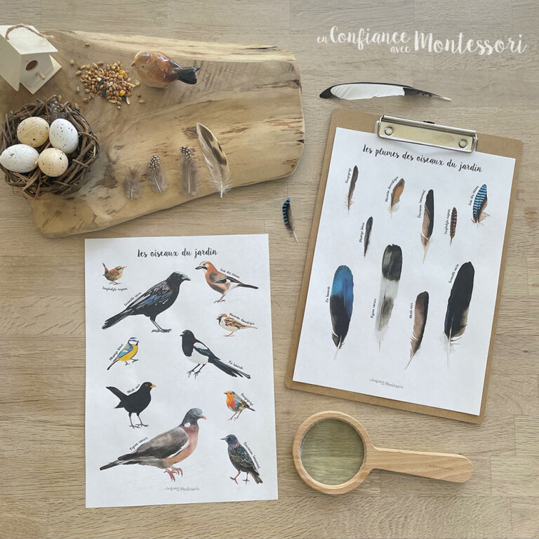 Affiche des oiseaux du jardin